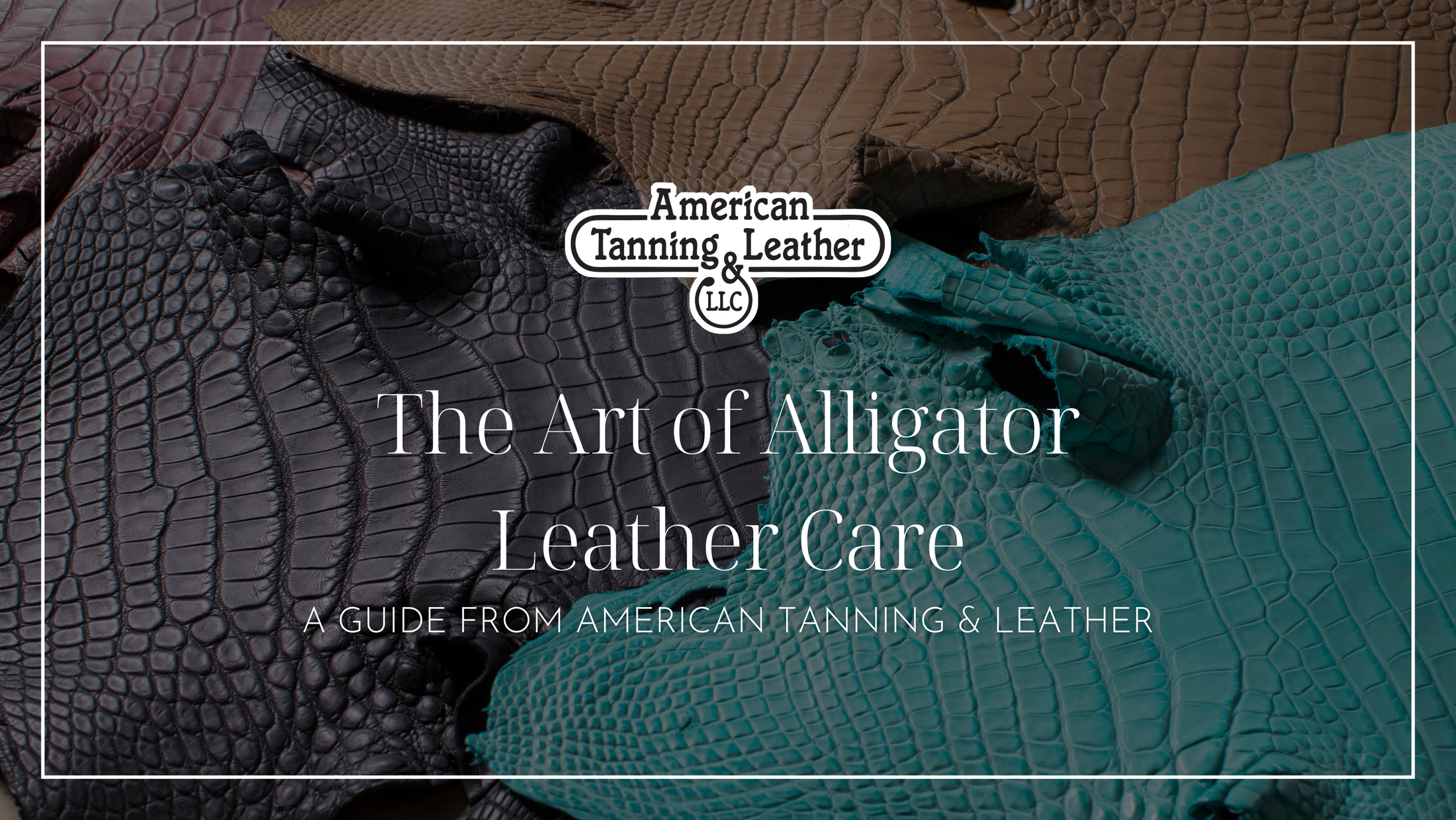 The Art of Alligator Leather Care: A Guide from American Tanning and ...
