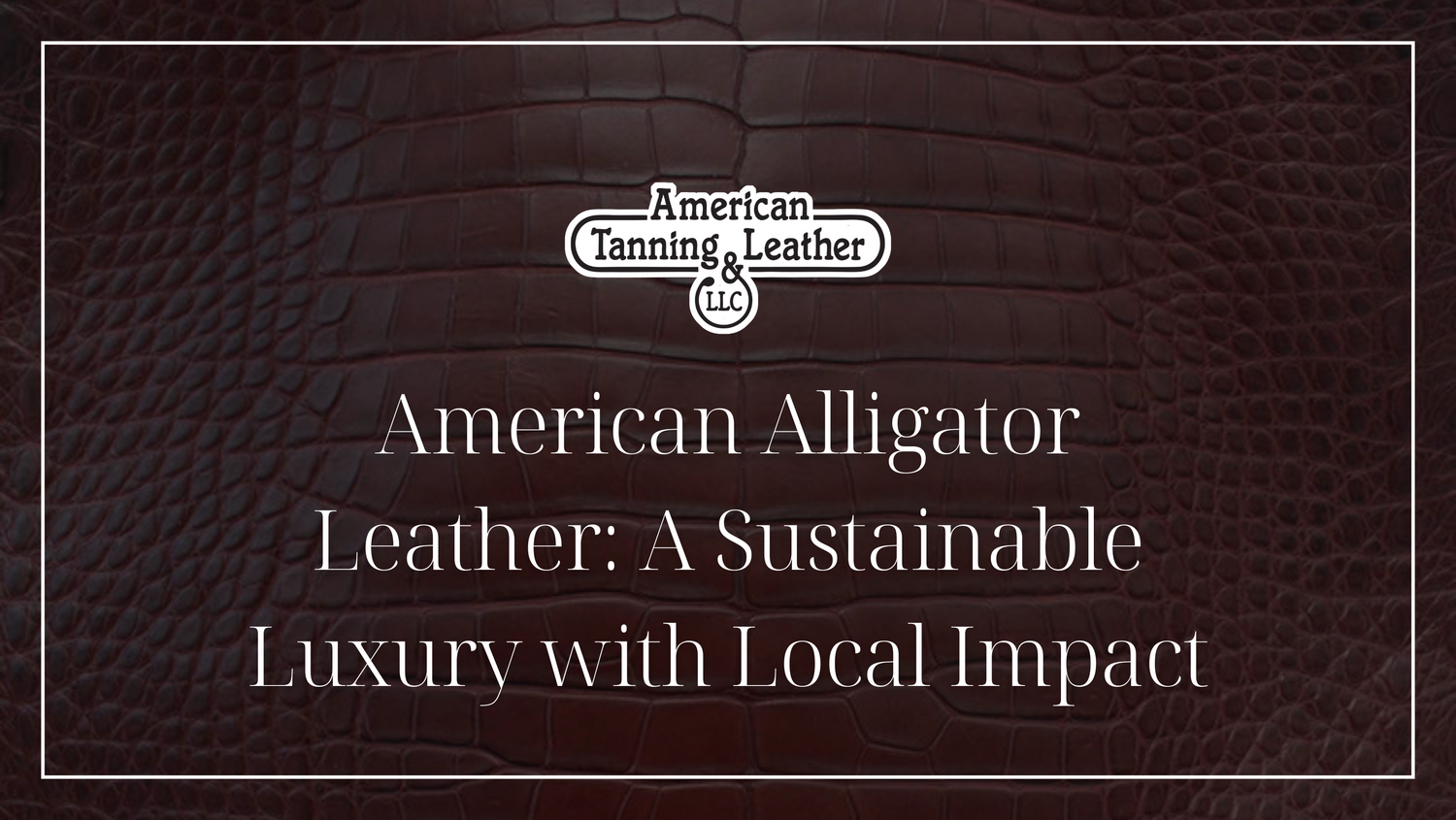 The Greater Gator Blog | Crocodile & Gator Skin Leather – AMTAN