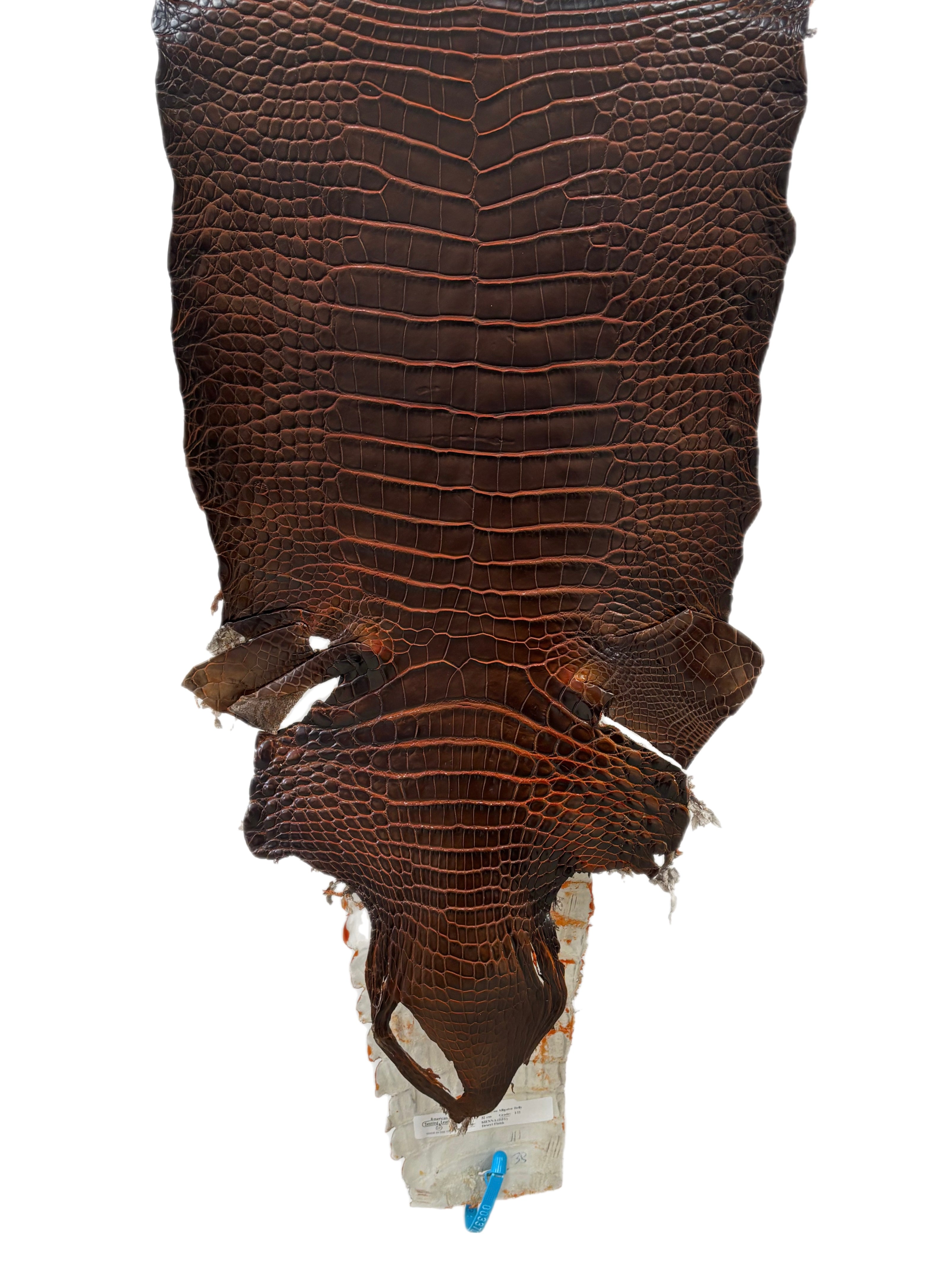 Leather | Leather Fabric | Alligator Leather | Exotic Leather | Python ...