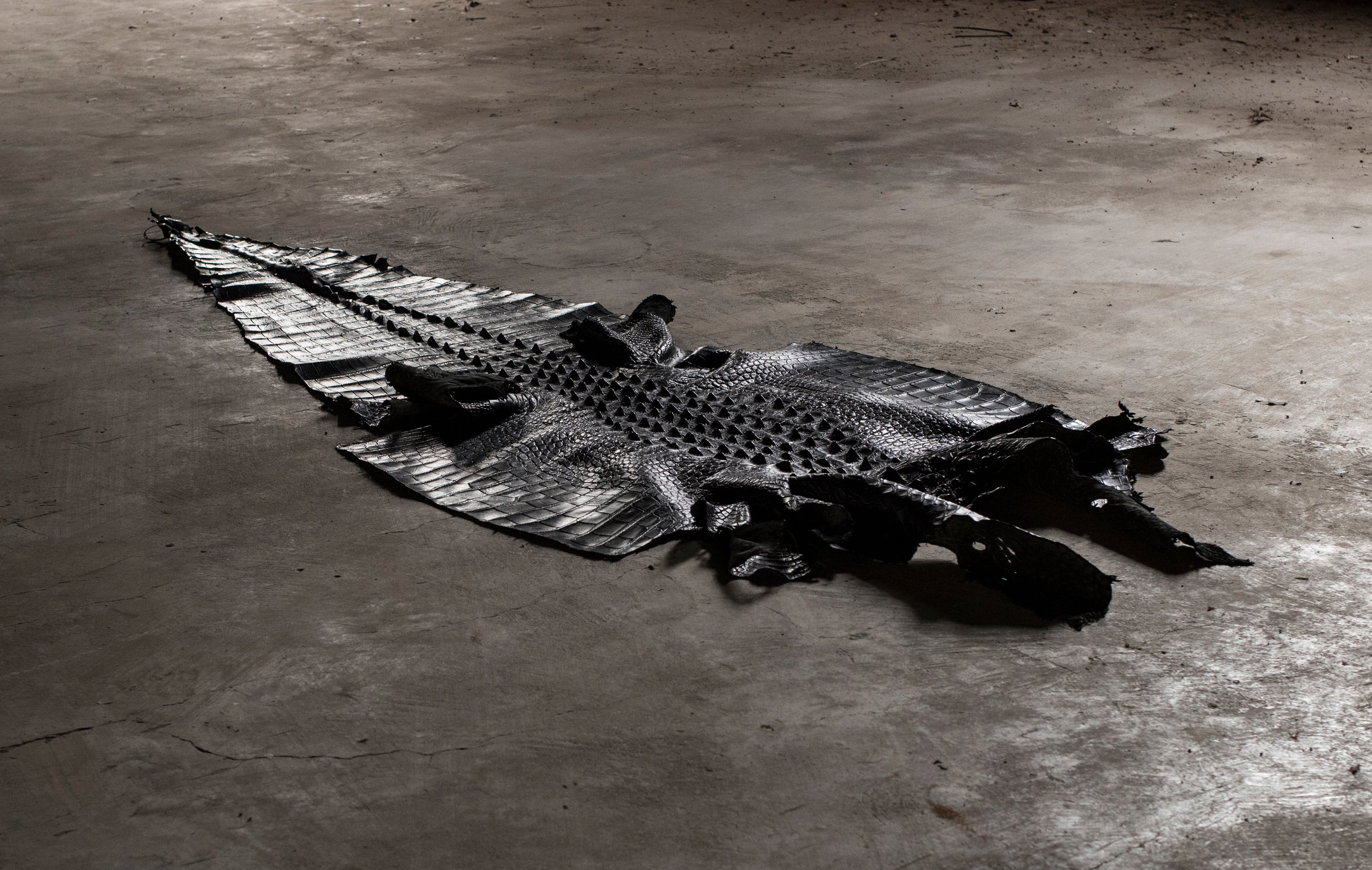 American Tanning and Leather | Alligator, Crocodile & Python Leather ...