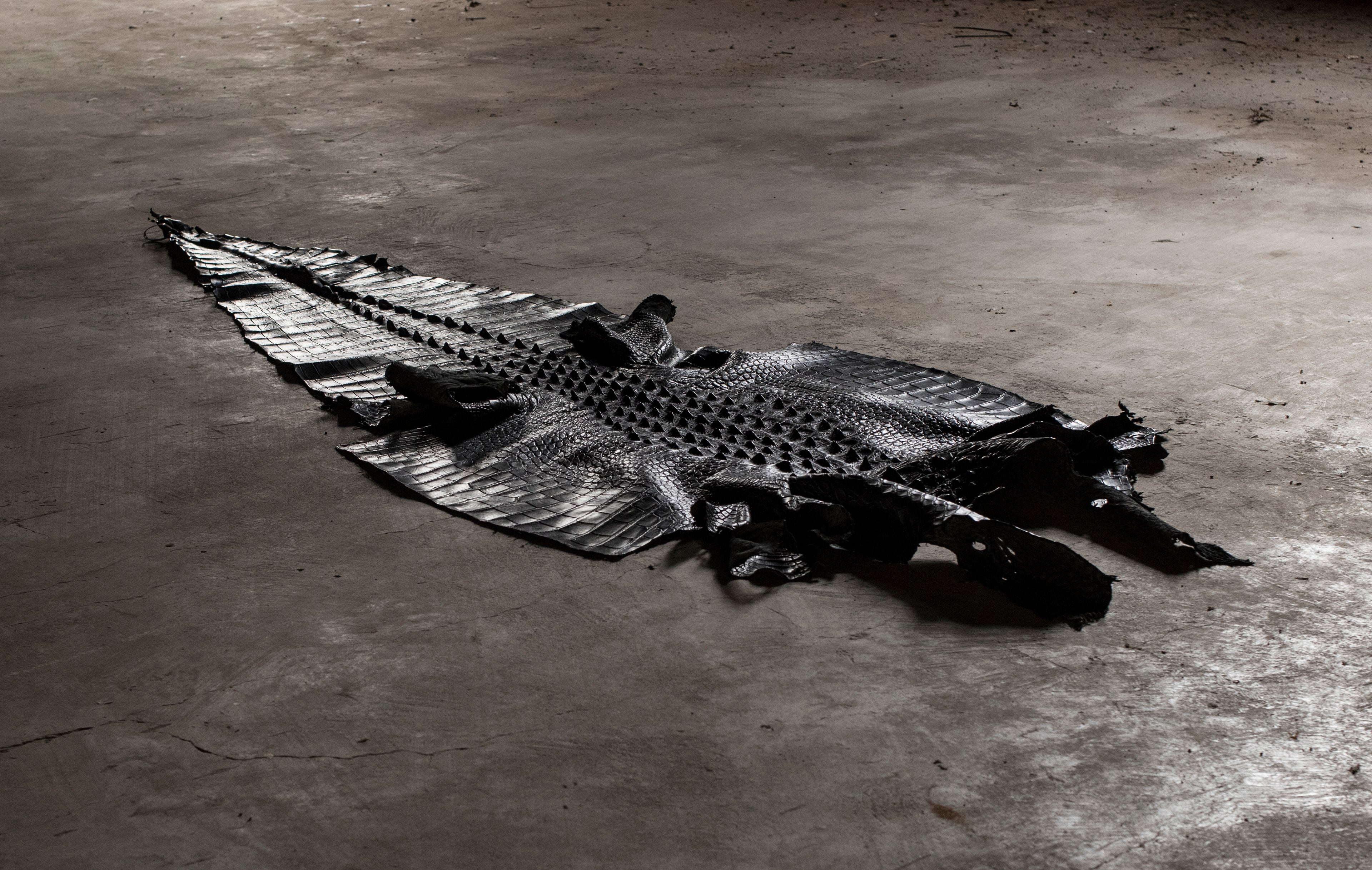 American Tanning and Leather | Alligator, Crocodile & Python Leather ...